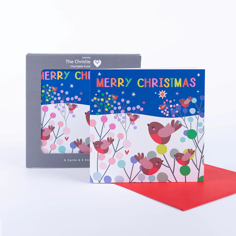 Box of 6 Christmas cards - Robin Family – Pippin Gifts Ltd